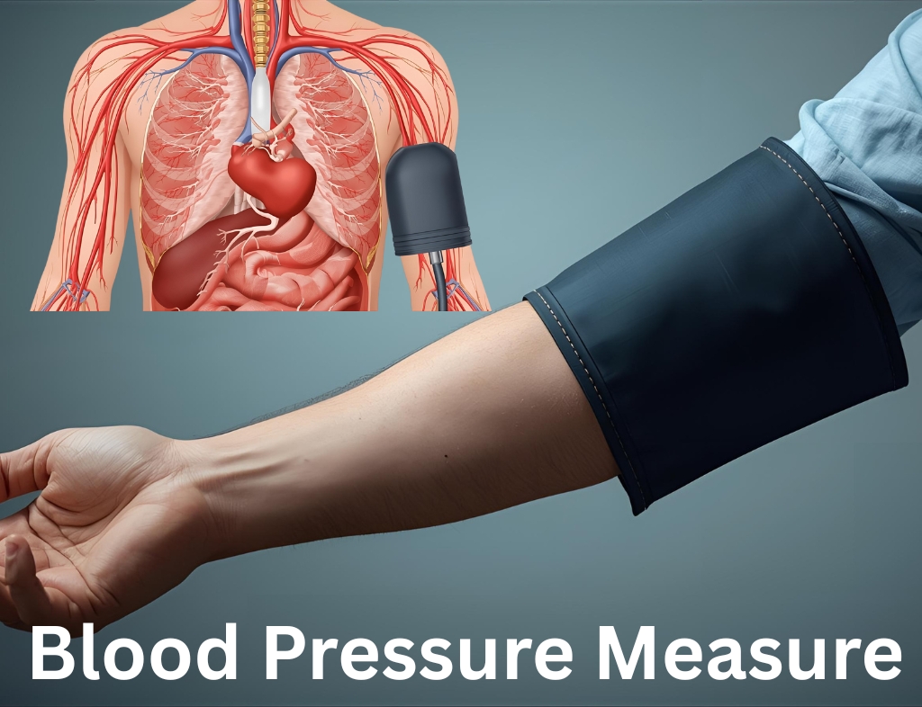 Blood Pressure Calculator: Understand BP Reading Free Online